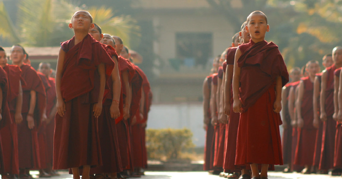 Saffron Heart - What's On - Electric Palace Cinema