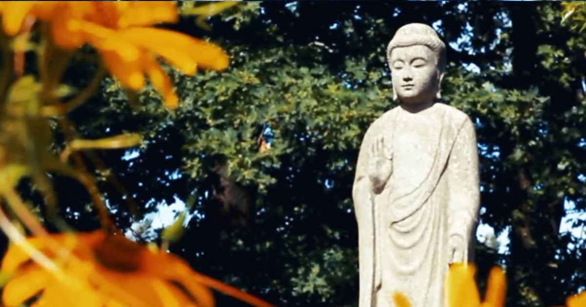 Gyotu, and Waking up 2050 - What's On - Electric Palace Cinema